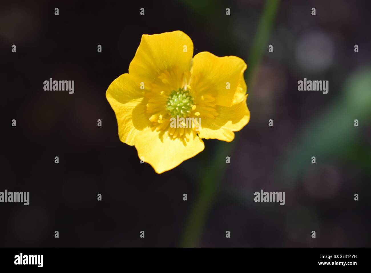 Krivoi rog plant hi-res stock photography and images - Alamy