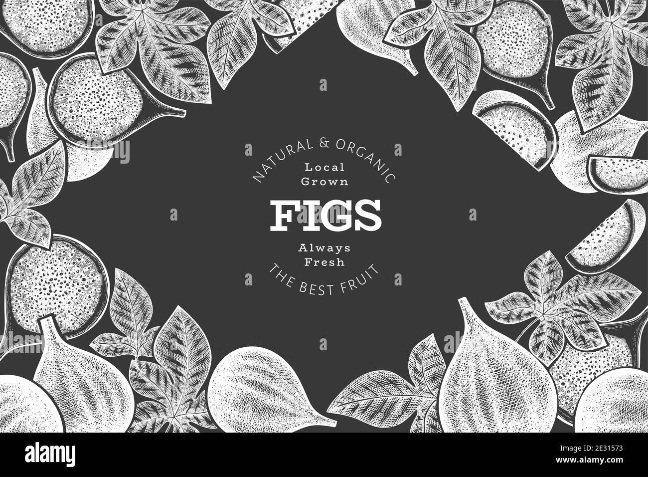 Hand drawn fig fruits design template. Organic fresh food vector ...