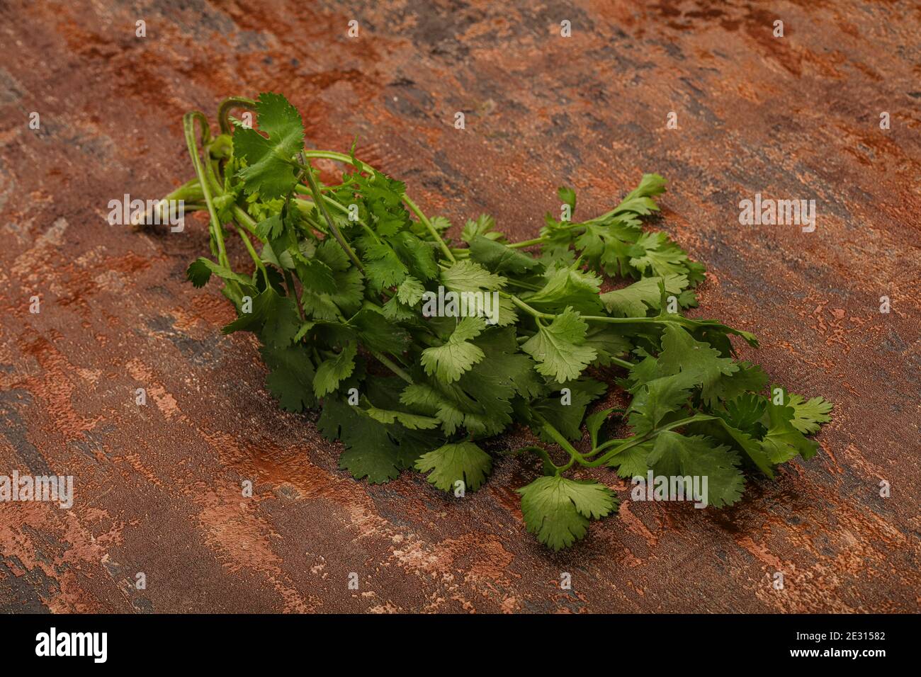 Aroma Green coriander or cilanto leaves heap Stock Photo - Alamy