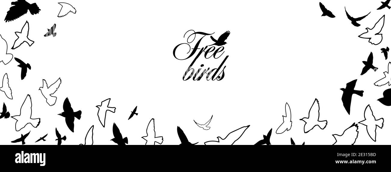 A flock of flying birds. Horizontal frame for your text with the birds ...