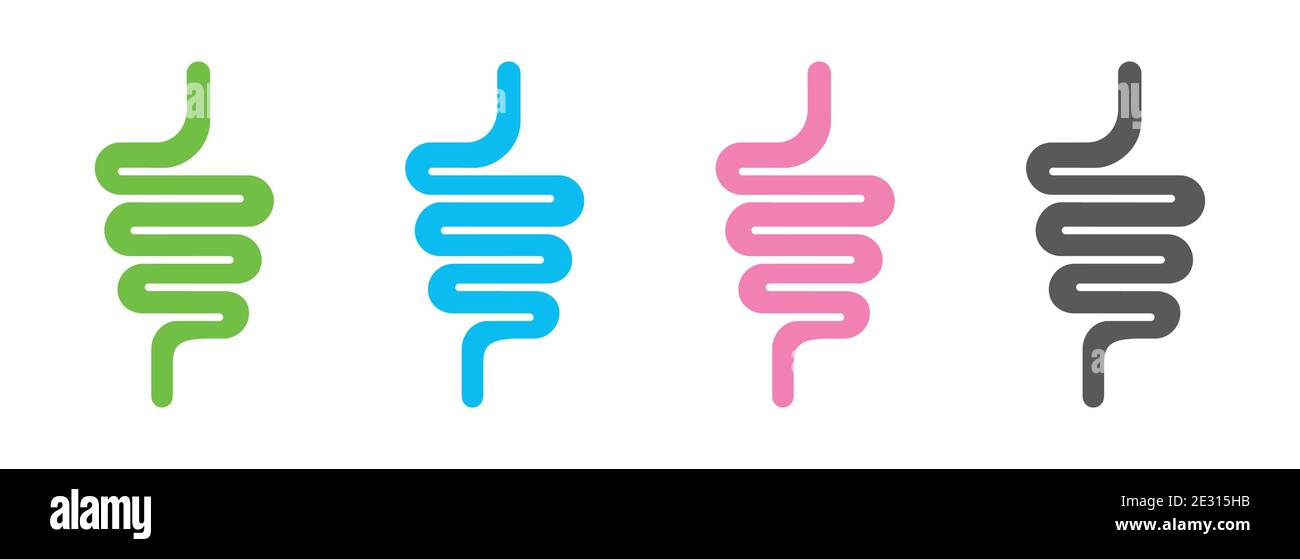 Intestinal tract set icon isolated on white background Stock Vector ...