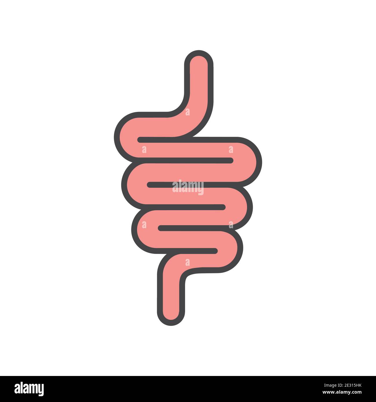 Intestinal tract icon isolated on white background Stock Vector Image ...