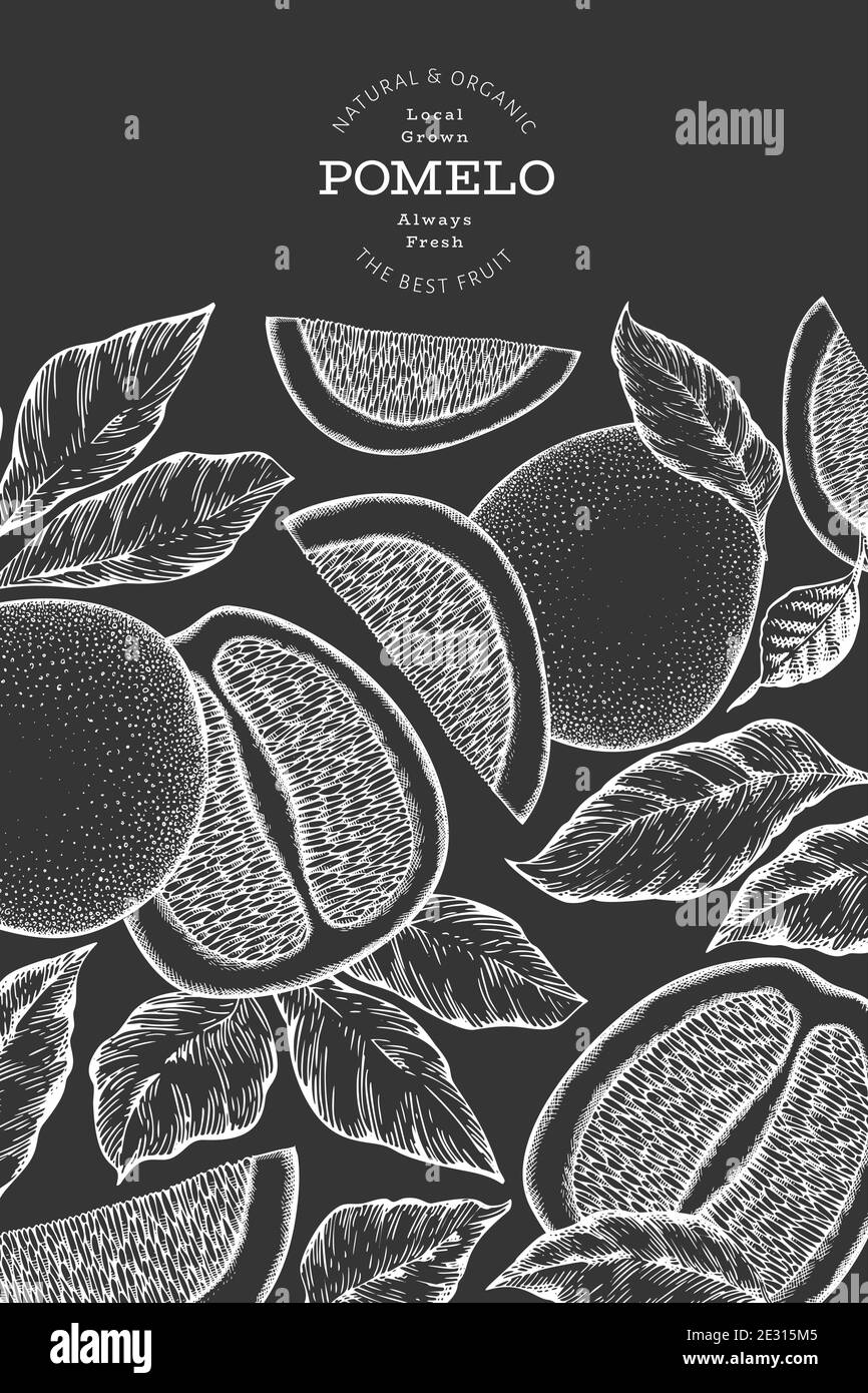 Hand drawn sketch style pomelo banner. Organic fresh fruit vector ...