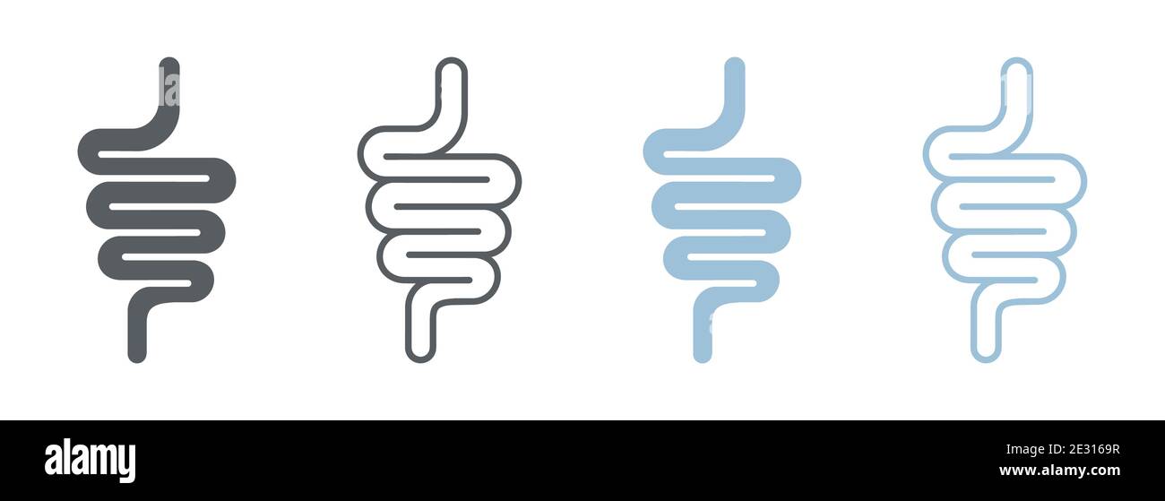 Intestinal tract set icon isolated on white background Stock Vector ...