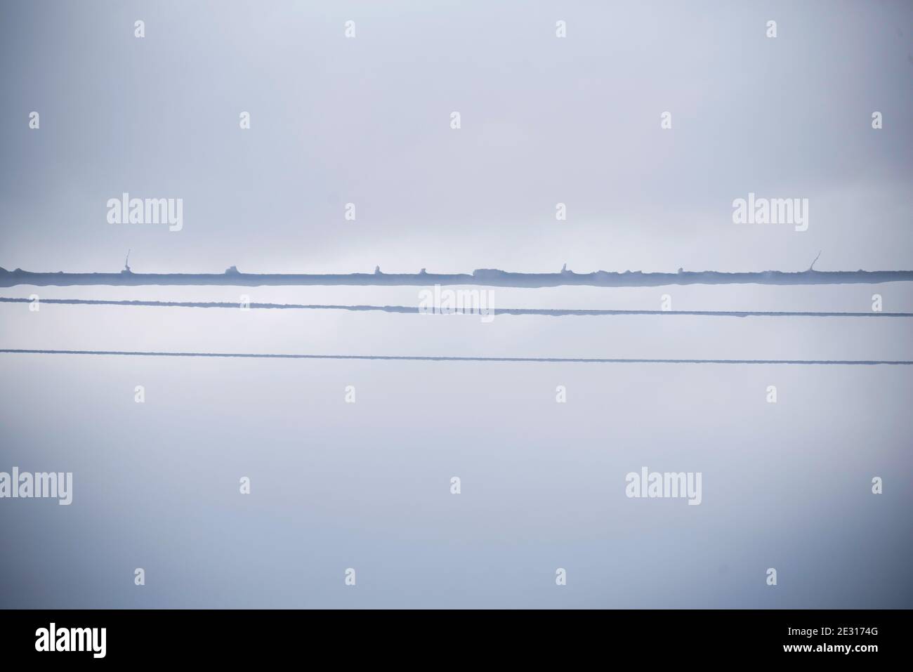 Electricity cables covered with snow. Snow cyclone in 2021 Stock Photo ...