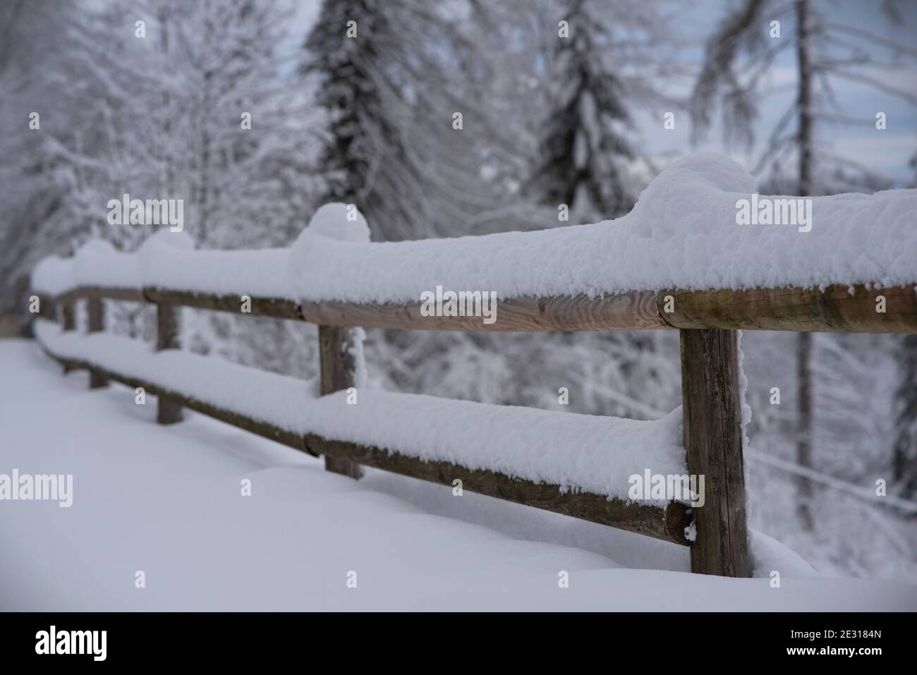 Winter country landscape with timber fence. Wooden fence covered with ...