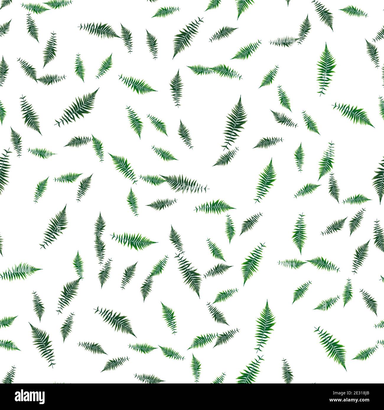 seamless pattern. Fern Leaf Background Illustration Stock Photo - Alamy