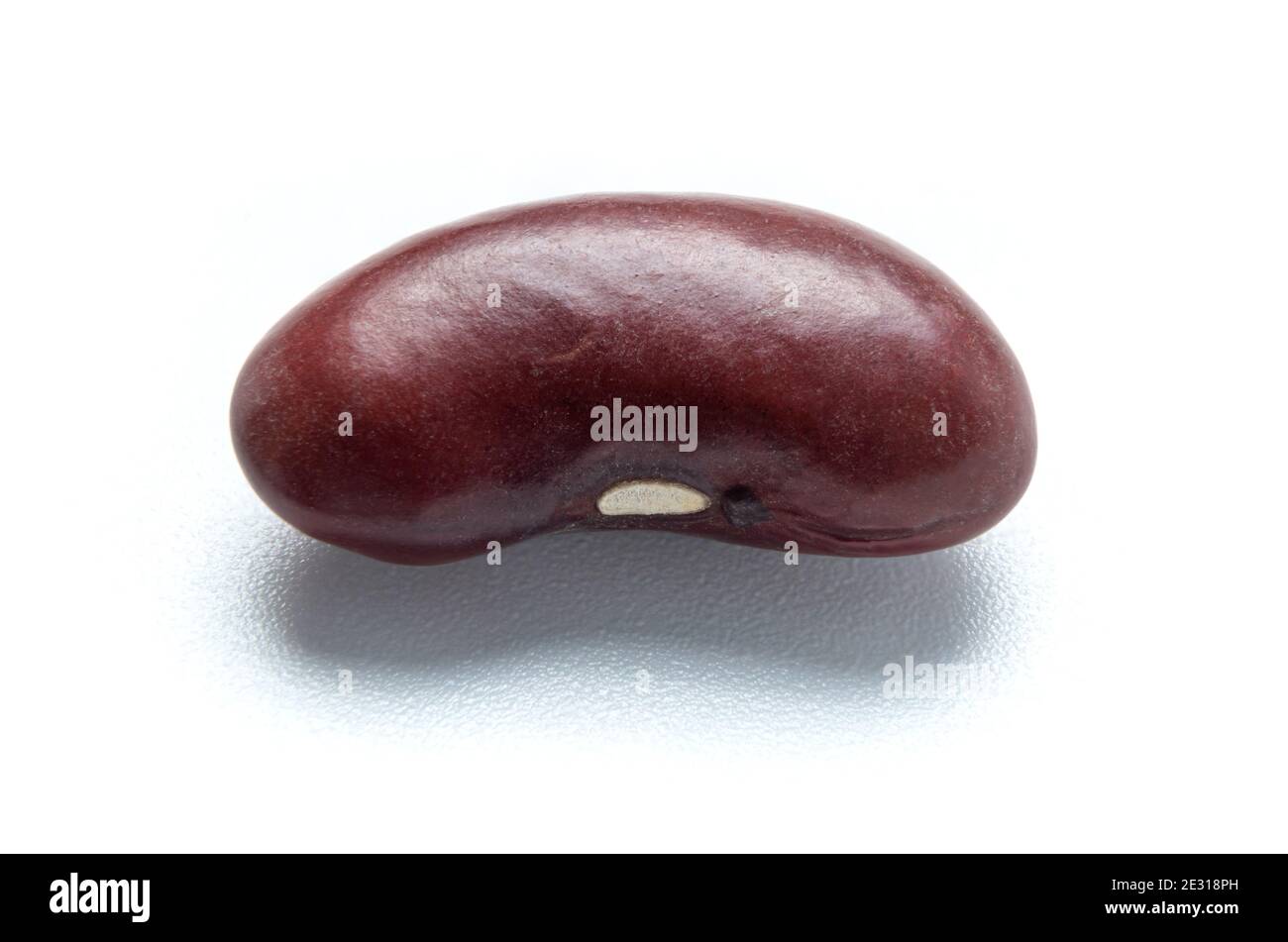 close up macro shot Red kidney beans isolated on white background. Pile ...