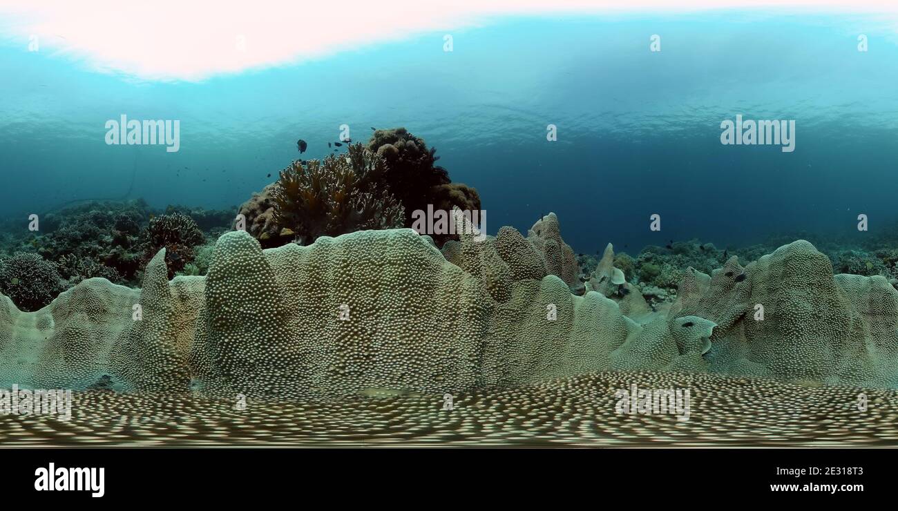 Underwater 360 High Resolution Stock Photography and Images - Alamy