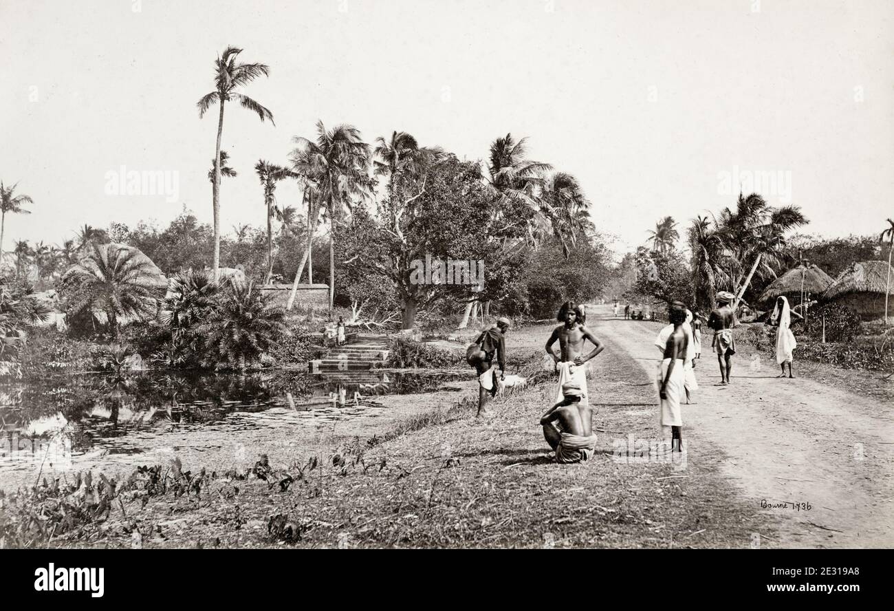India tree* 1900 hi-res stock photography and images - Alamy