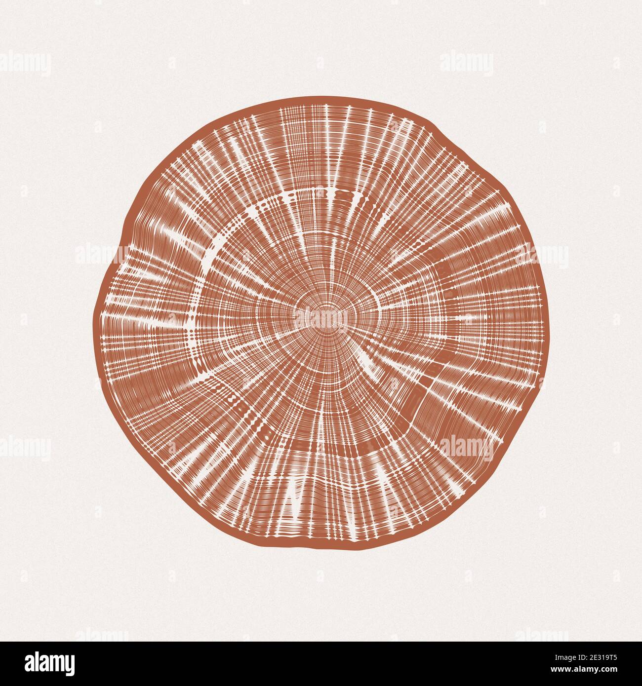 Cinnamon mandala hi-res stock photography and images - Alamy