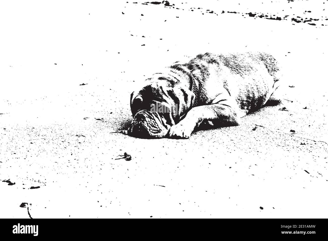 Overlay Dog Texture Stock Vector Image & Art - Alamy