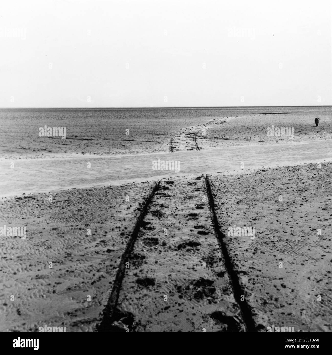 Horse Tracks In Sand