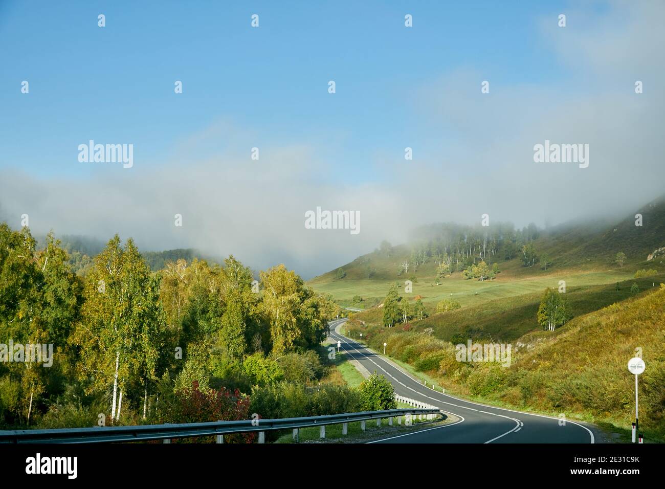 4k drone fly between tree hi-res stock photography and images - Alamy