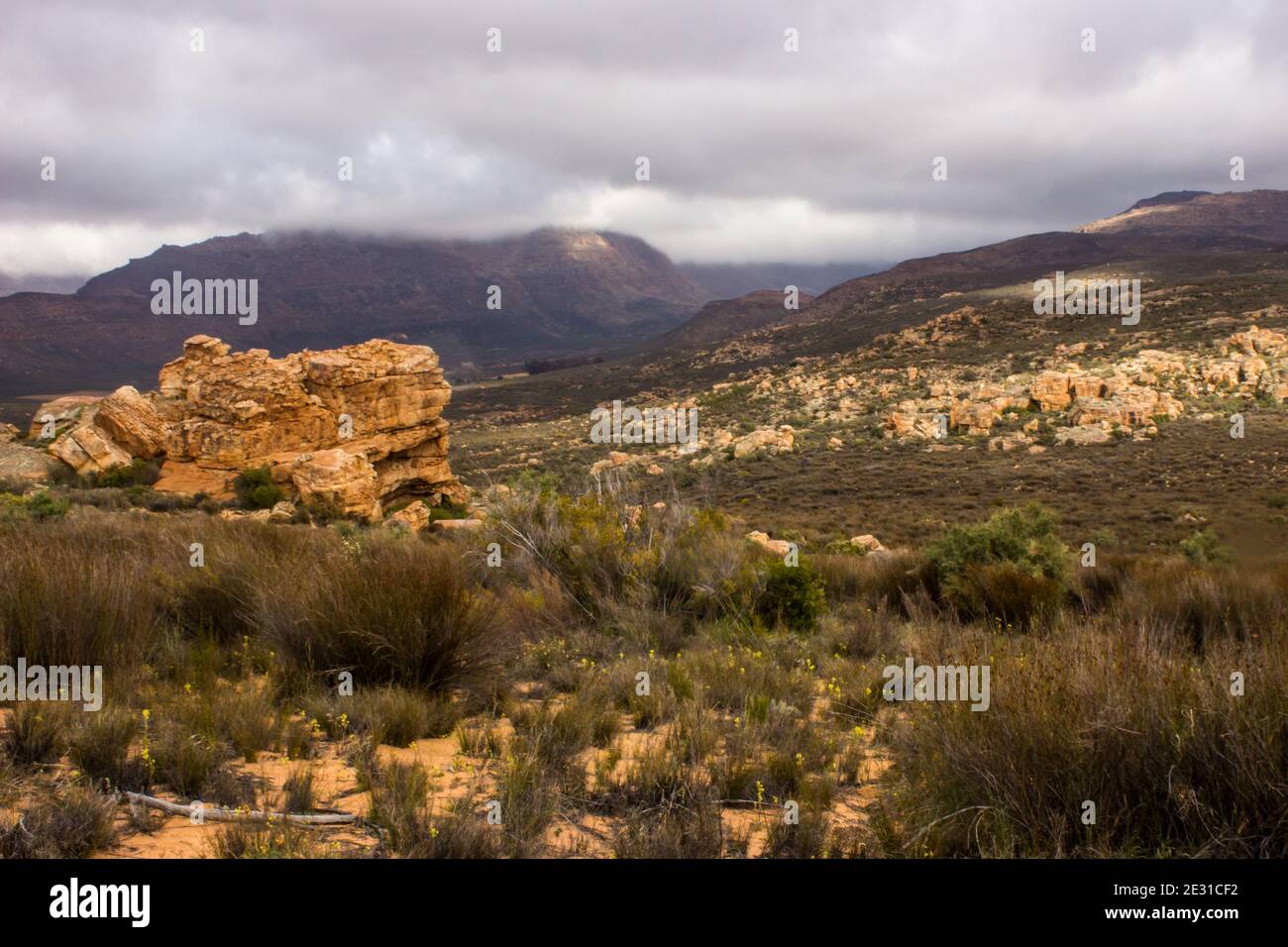 The weathered and wind-swept sandstone boulders of the Cederberg ...