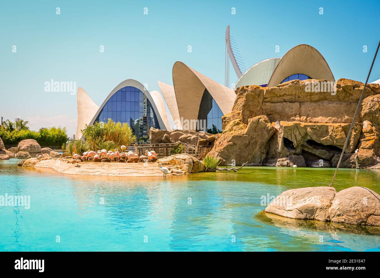 The Oceanographic, Valencia, Spain Stock Photo - Alamy