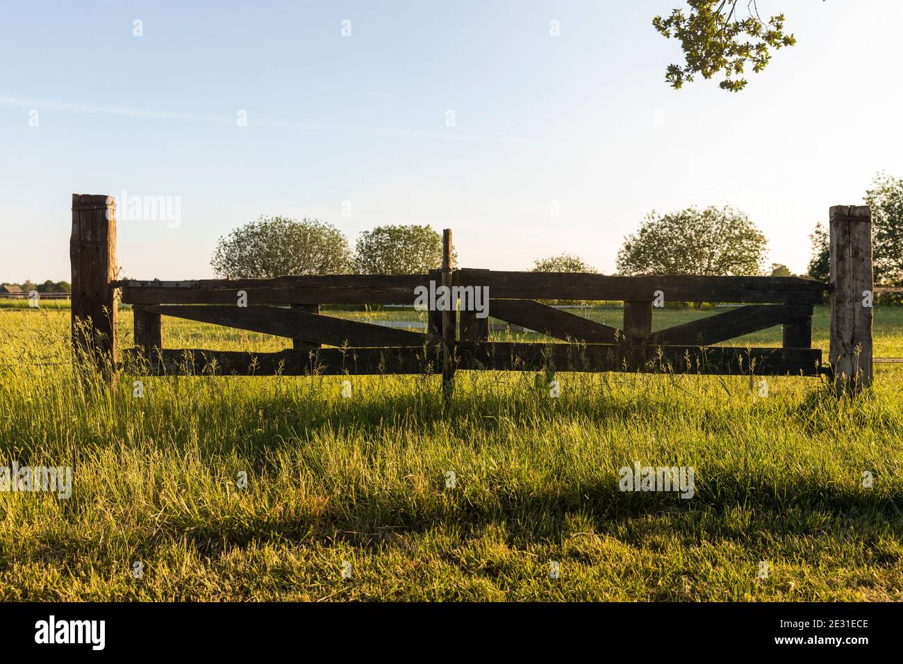 A big rustic wooden gate in a rural area in The Netherlands. A Dutch ...
