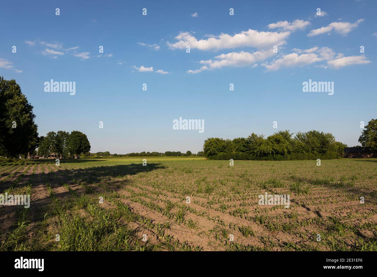Dutch scenery hi-res stock photography and images - Alamy