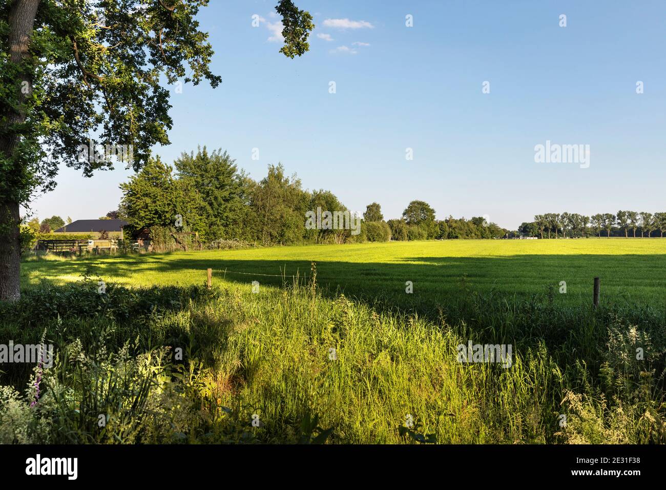 A dutch landscape on a sunny day in Eersel, The Netherlands. Trees ...