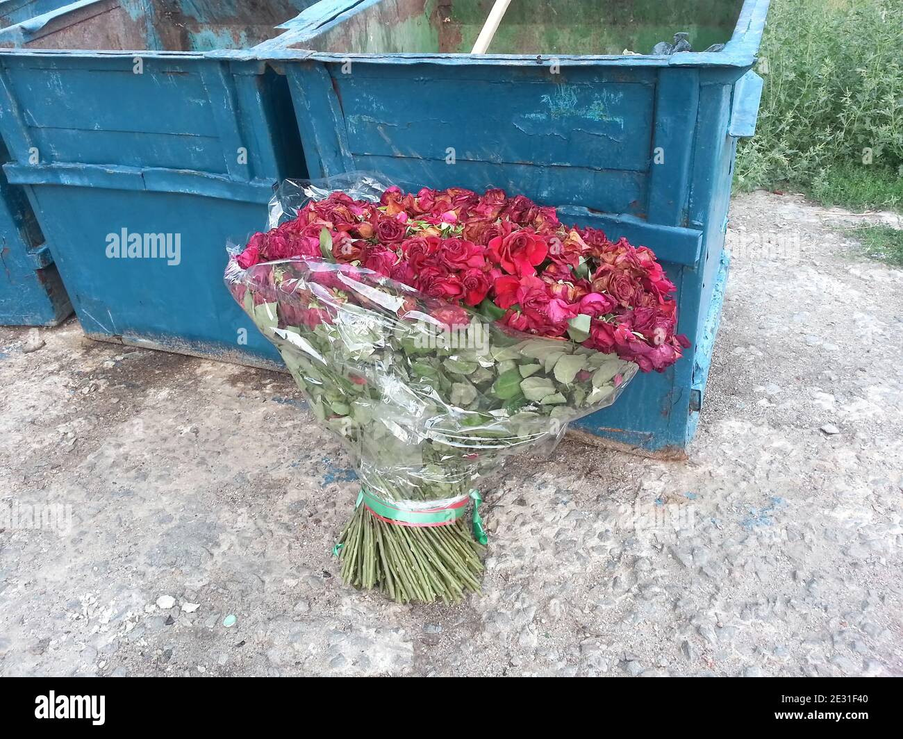 large bouquet of red roses thrown on the street the dump Stock Photo ...