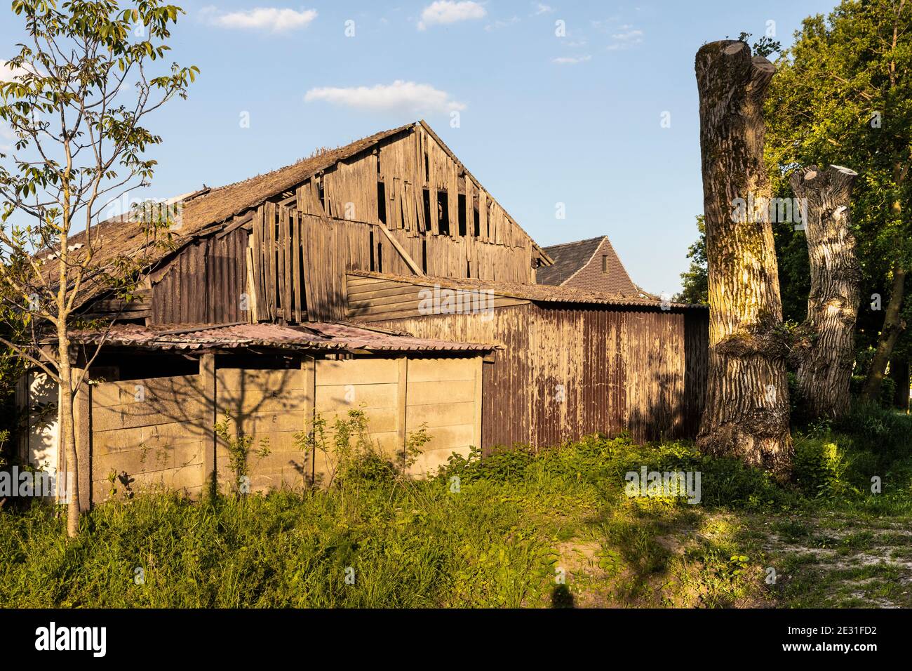 An old aged barn in Brabant, The Netherlands. Vintage broken farm house ...