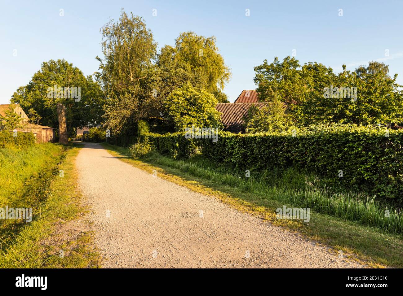 Scen greenery hi-res stock photography and images - Alamy