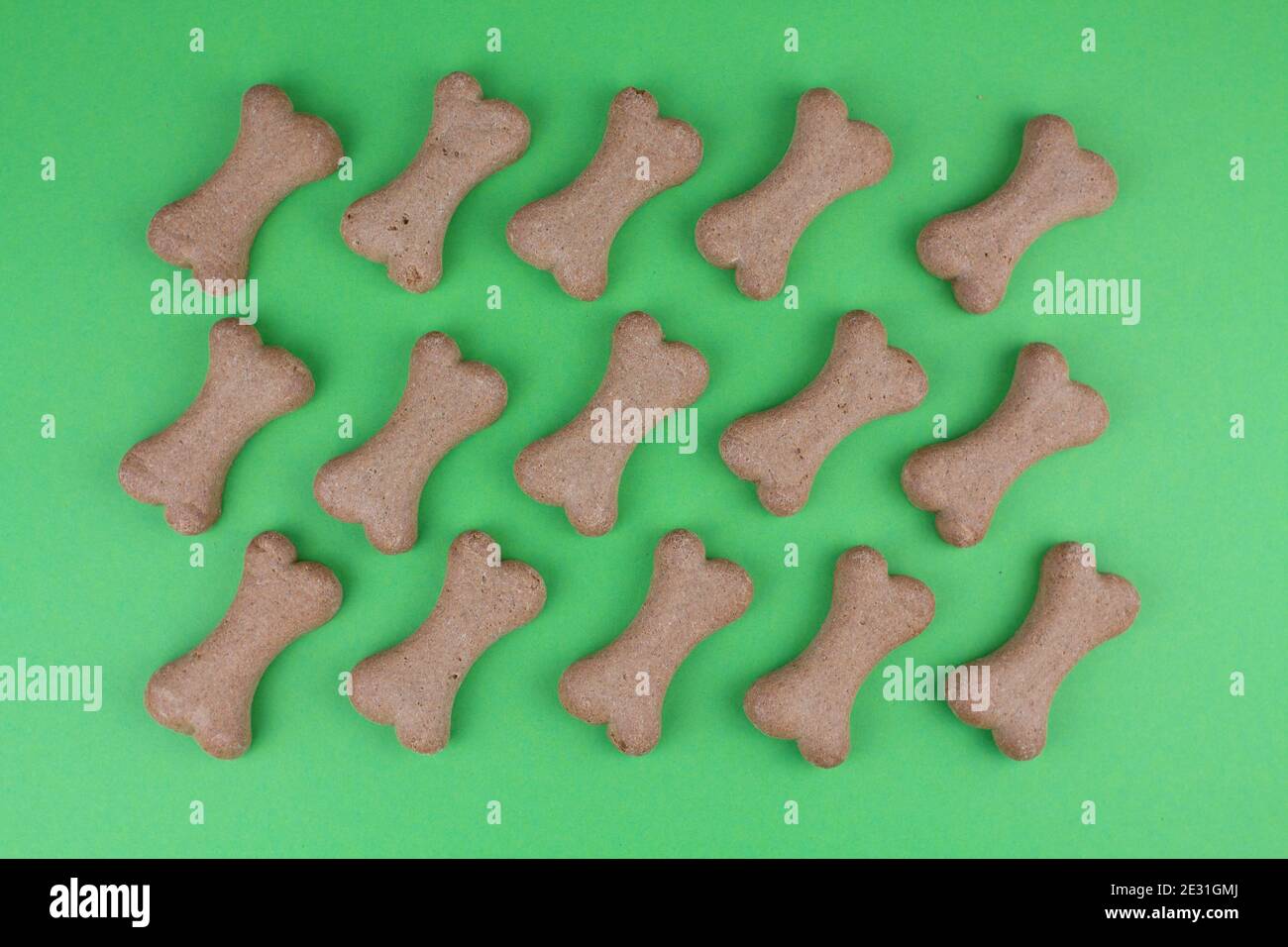 Green dog bones pattern hi-res stock photography and images - Alamy