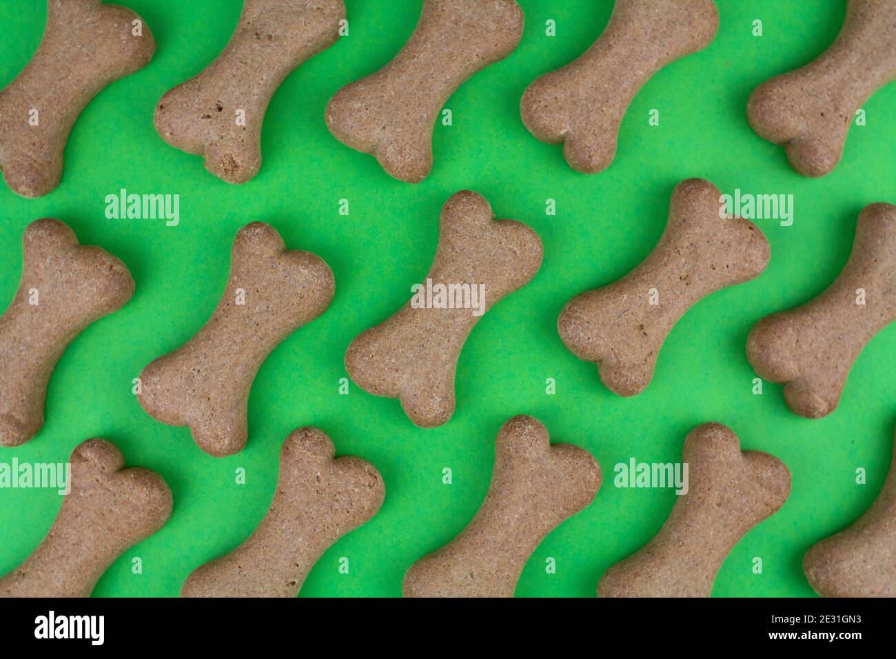 Green dog bones pattern hi-res stock photography and images - Alamy