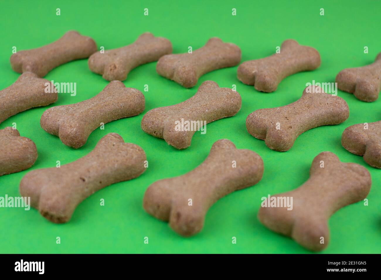 Green dog bones pattern hi-res stock photography and images - Alamy