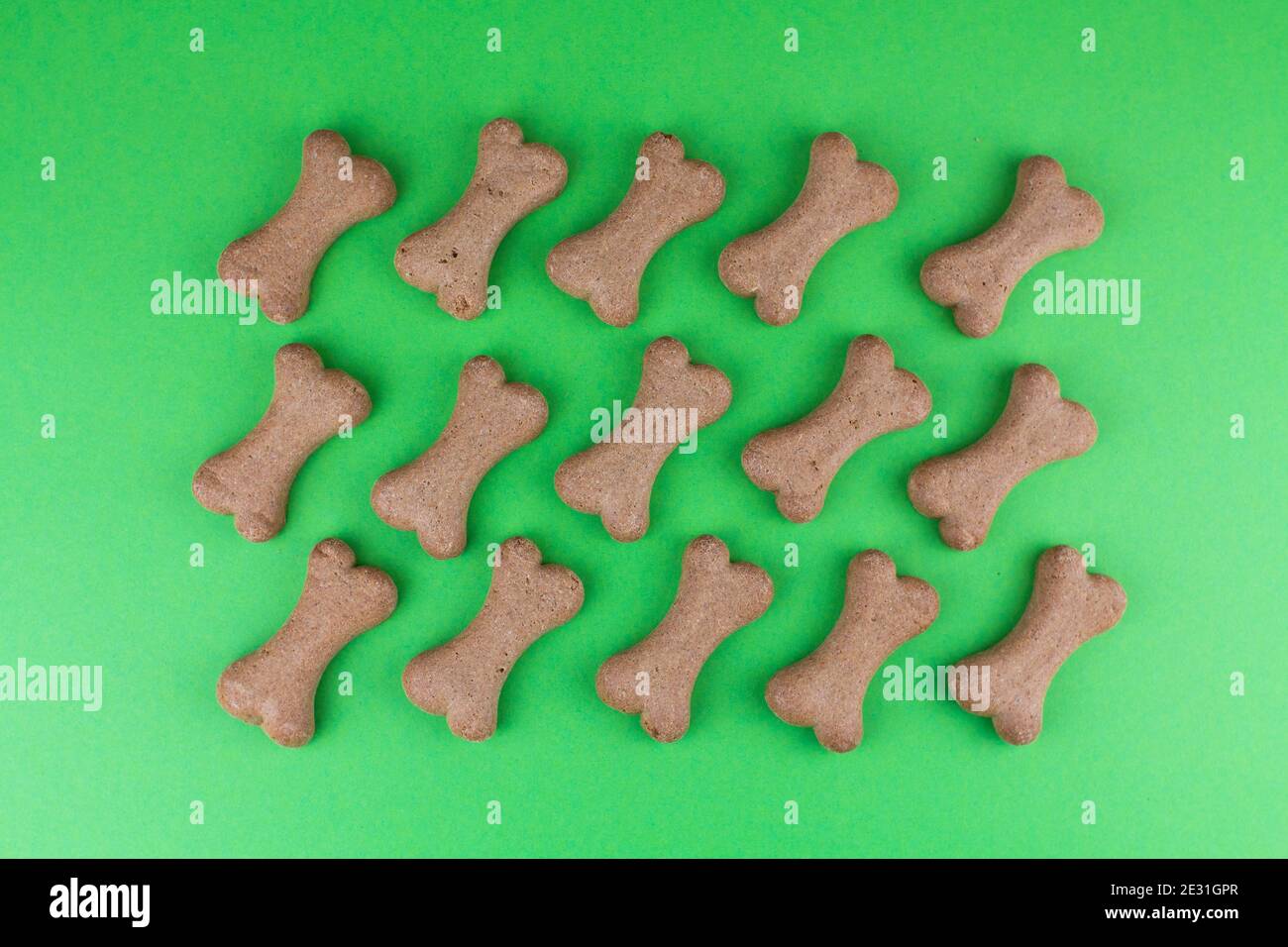 Green dog bones pattern hi-res stock photography and images - Alamy