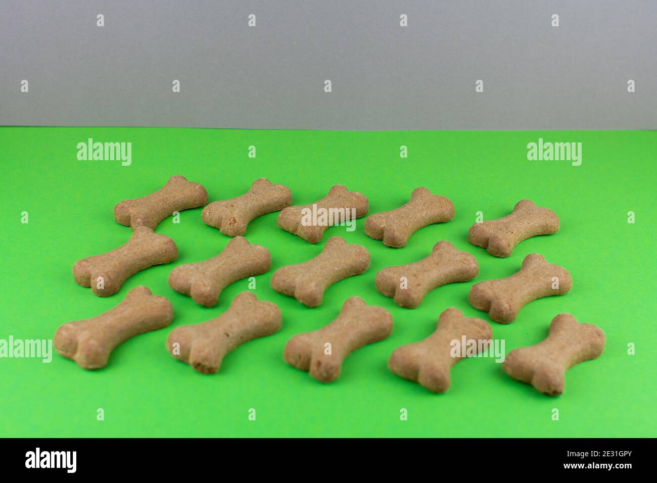 Green dog bones pattern hi-res stock photography and images - Alamy