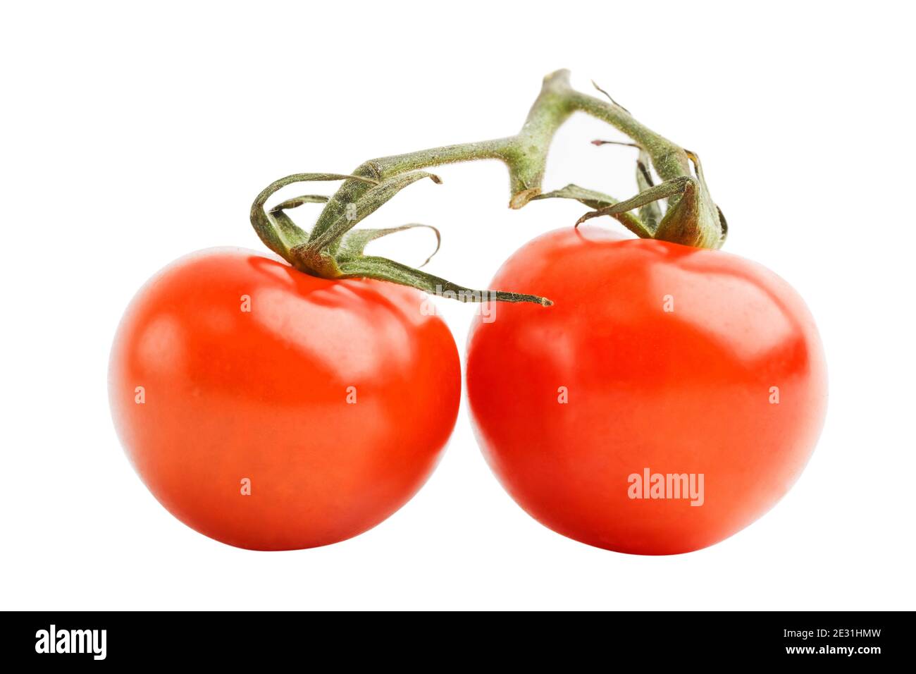 Tomatoe plant cutout hi-res stock photography and images - Alamy