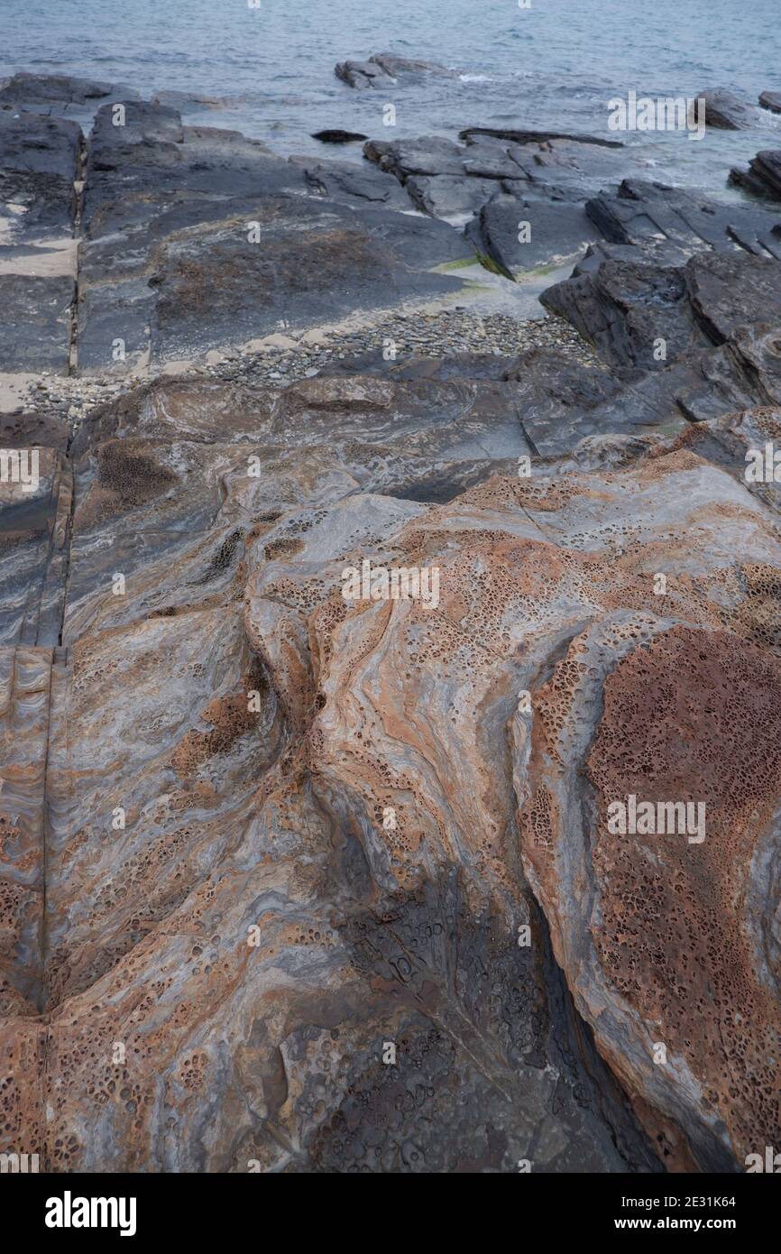 Tung Ping Chau, Hong Kong - sedimentary rocks with a variety of marine ...