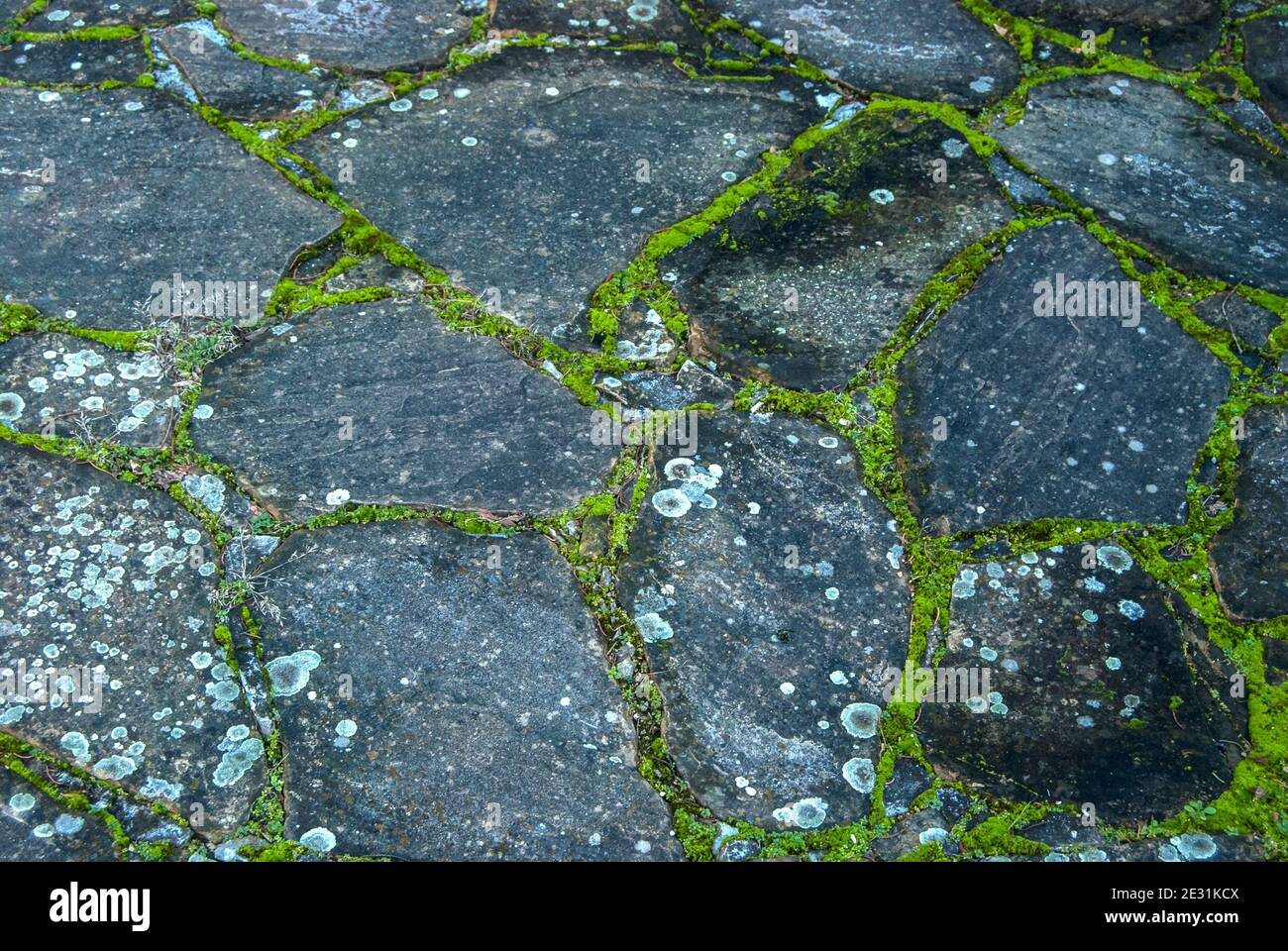 Old garden stone slabs with green moss closeup as stone background ...