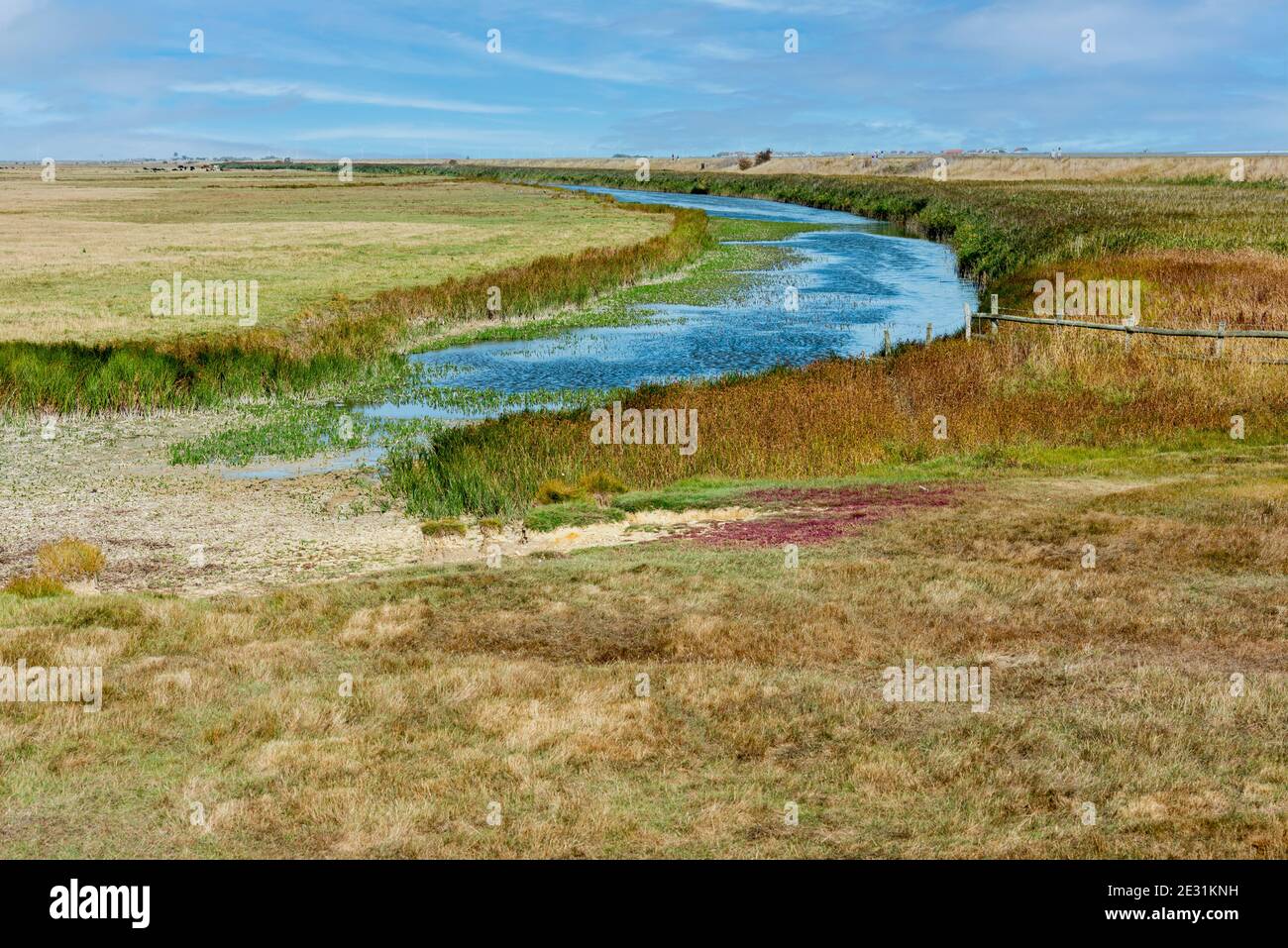 The Swale National Nature Reserve on the Isle of Sheppey in Kent ...
