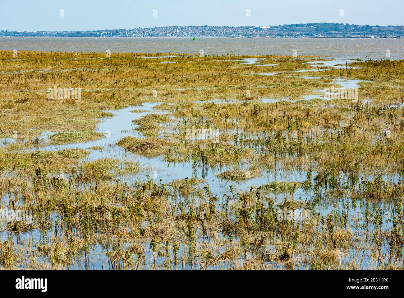 The Swale National Nature Reserve on the Isle of Sheppey overlooking ...