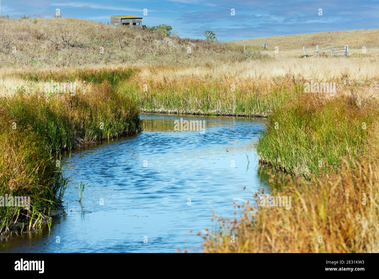 The Swale National Nature Reserve on the Isle of Sheppey in Kent ...