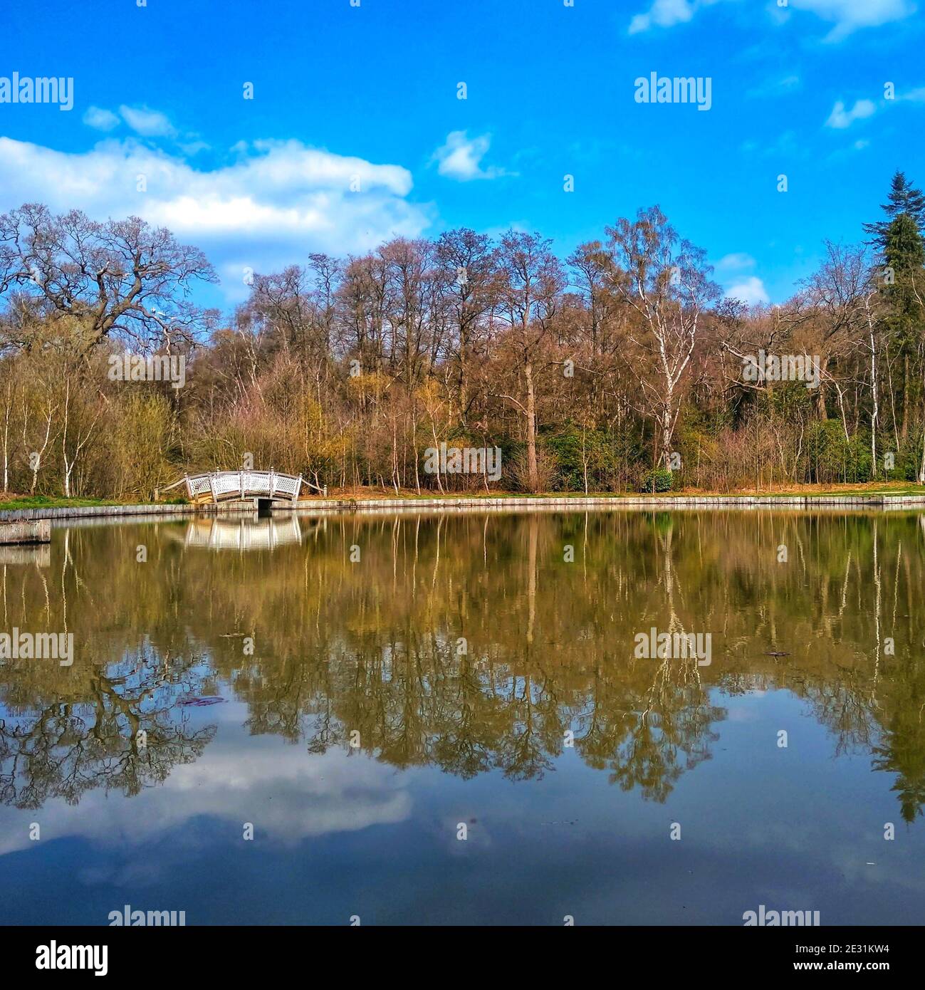 Diamond lattice hi-res stock photography and images - Alamy