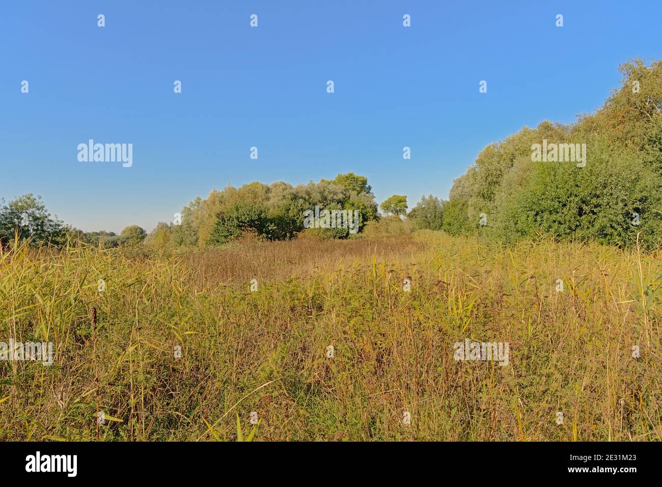 Toturist hi-res stock photography and images - Alamy