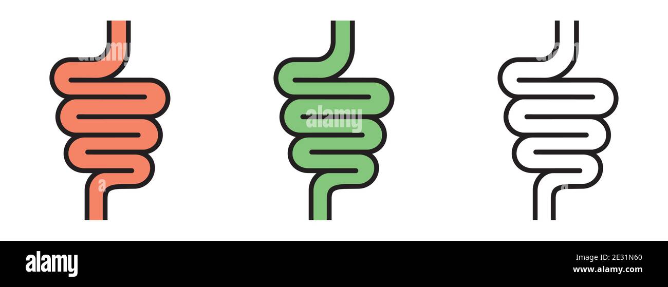 Intestinal tract set icon isolated on white background Stock Vector ...
