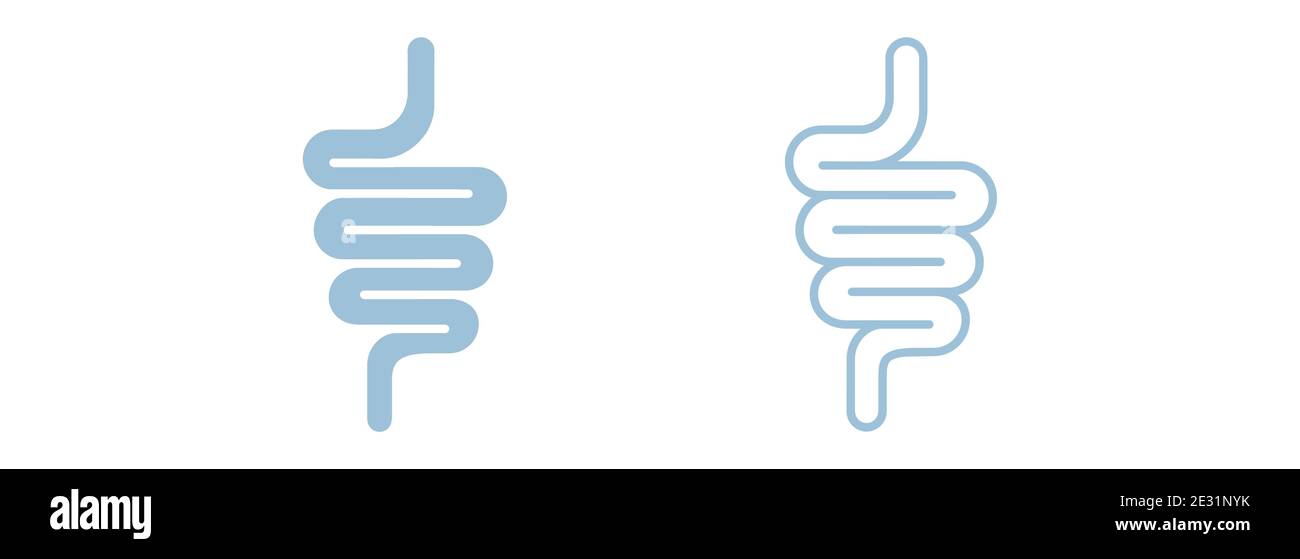 Intestinal tract icon isolated on white background Stock Vector Image ...