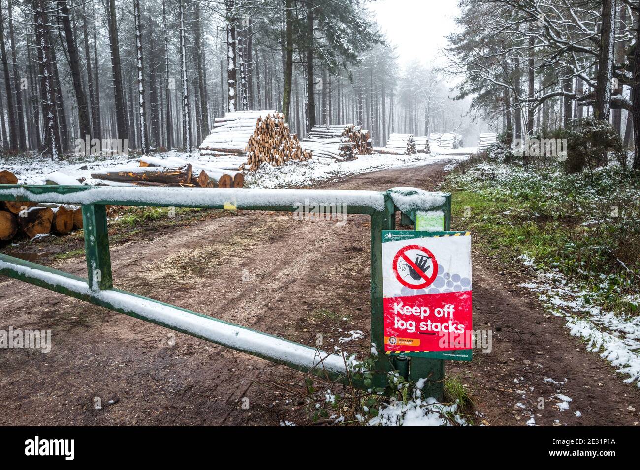 Forestry Commission Health and Safety sign "Keep off Log Stacks Stock ...