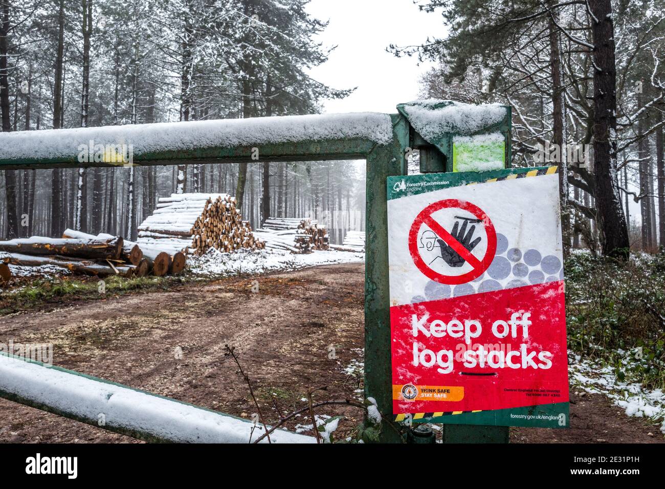 Forestry Commission Health and Safety sign "Keep off Log Stacks Stock ...