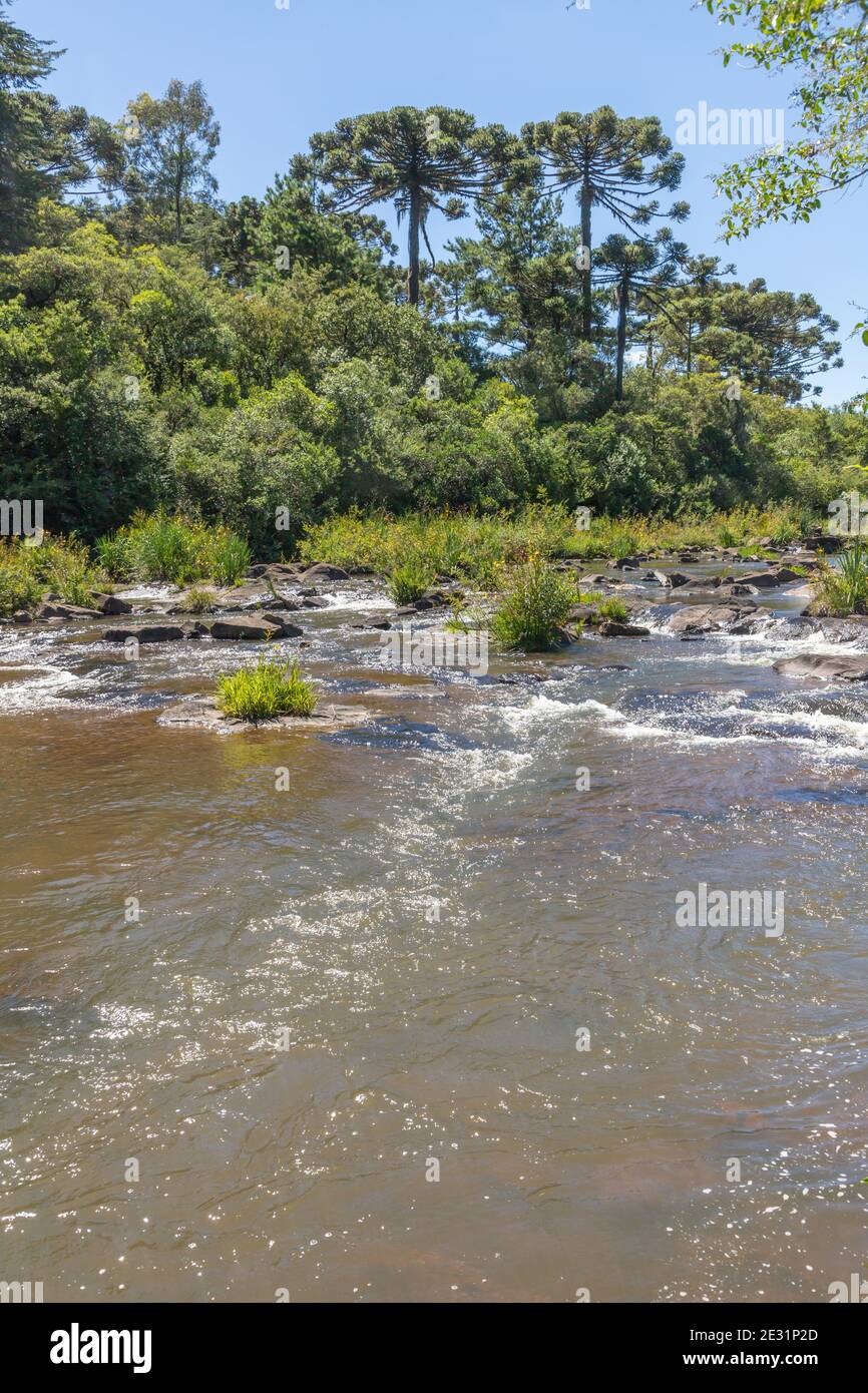 Cai river with forest and rocks, São Francisco de Paula, Rio Grande do ...