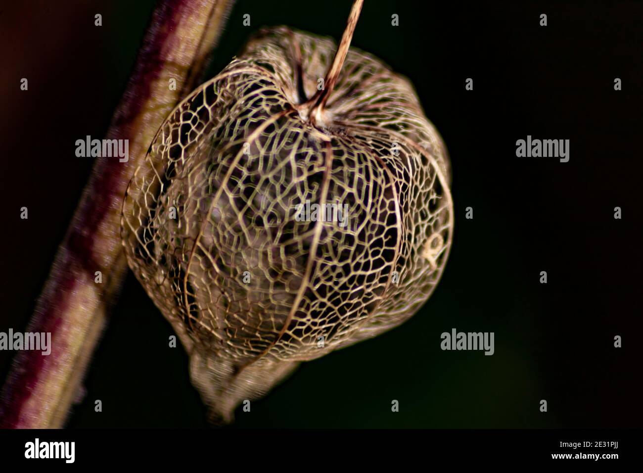 Phillasys hi-res stock photography and images - Alamy