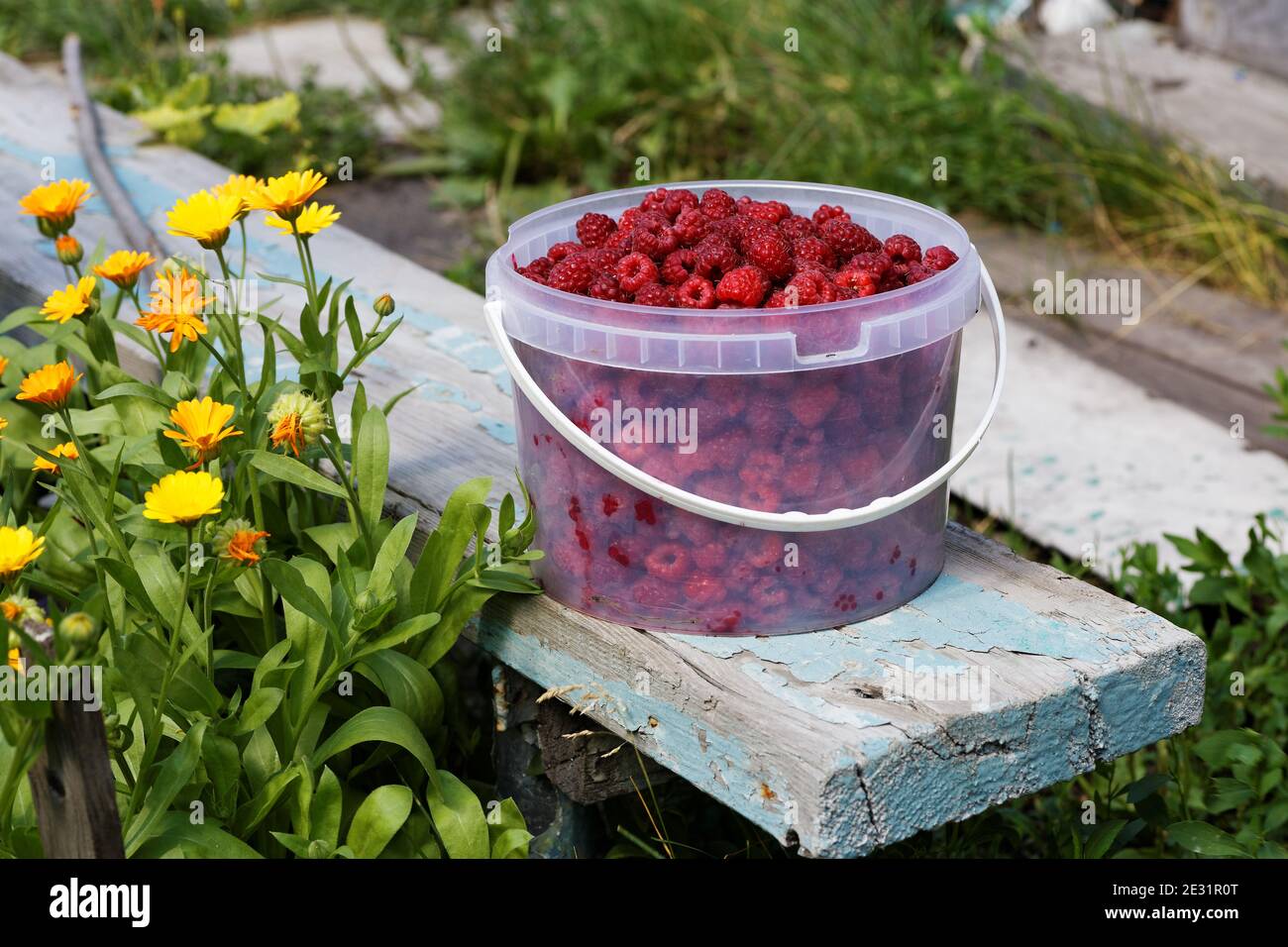 Bucket with fruits hi-res stock photography and images - Alamy