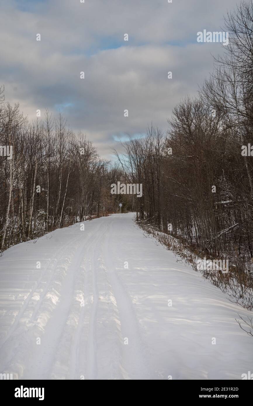 Cutting through forest hi-res stock photography and images - Alamy