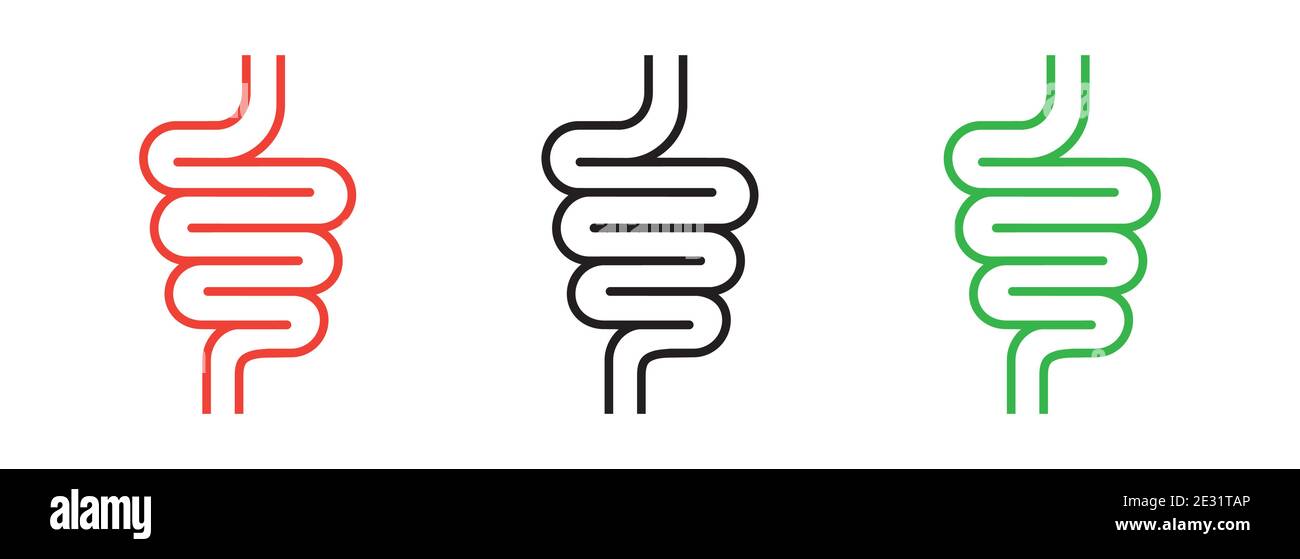 Intestinal tract set icon isolated on white background Stock Vector ...