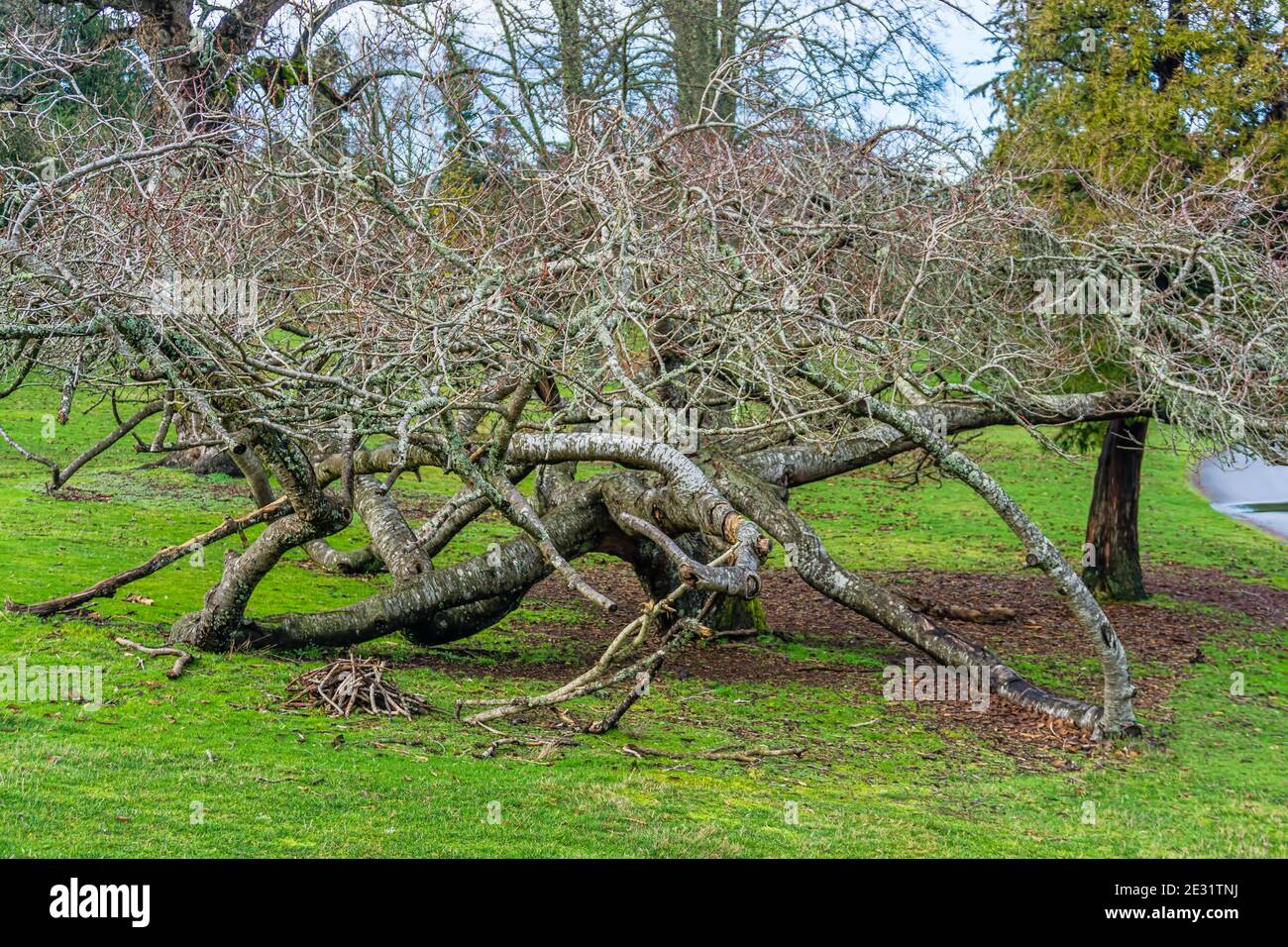 Point Defiance Park High Resolution Stock Photography and Images - Alamy