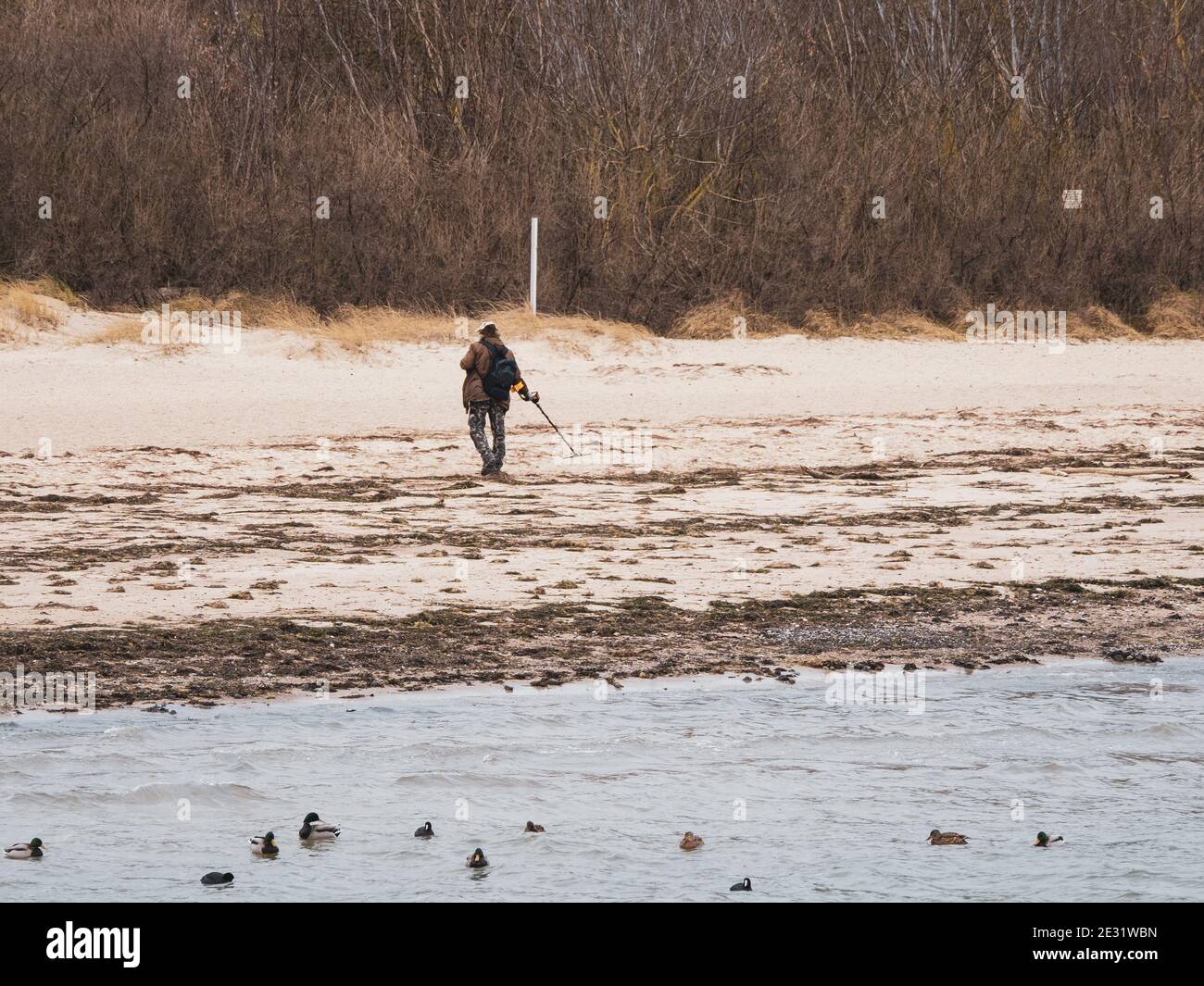 a man searches the beach with a metal detector Stock Photo - Alamy